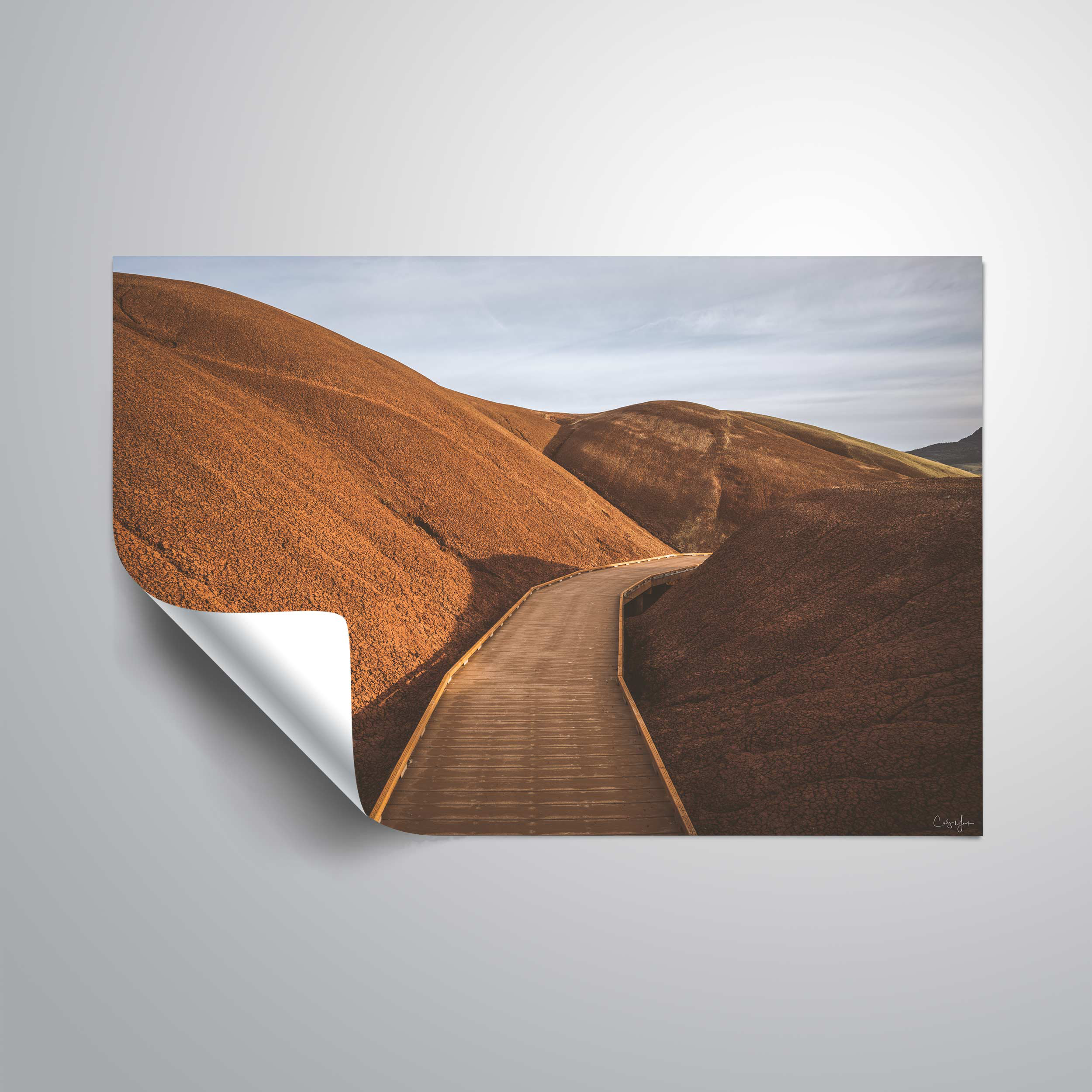 Ebern Designs Painted Hills Boardwalk in Oregon - Photograph Print ...