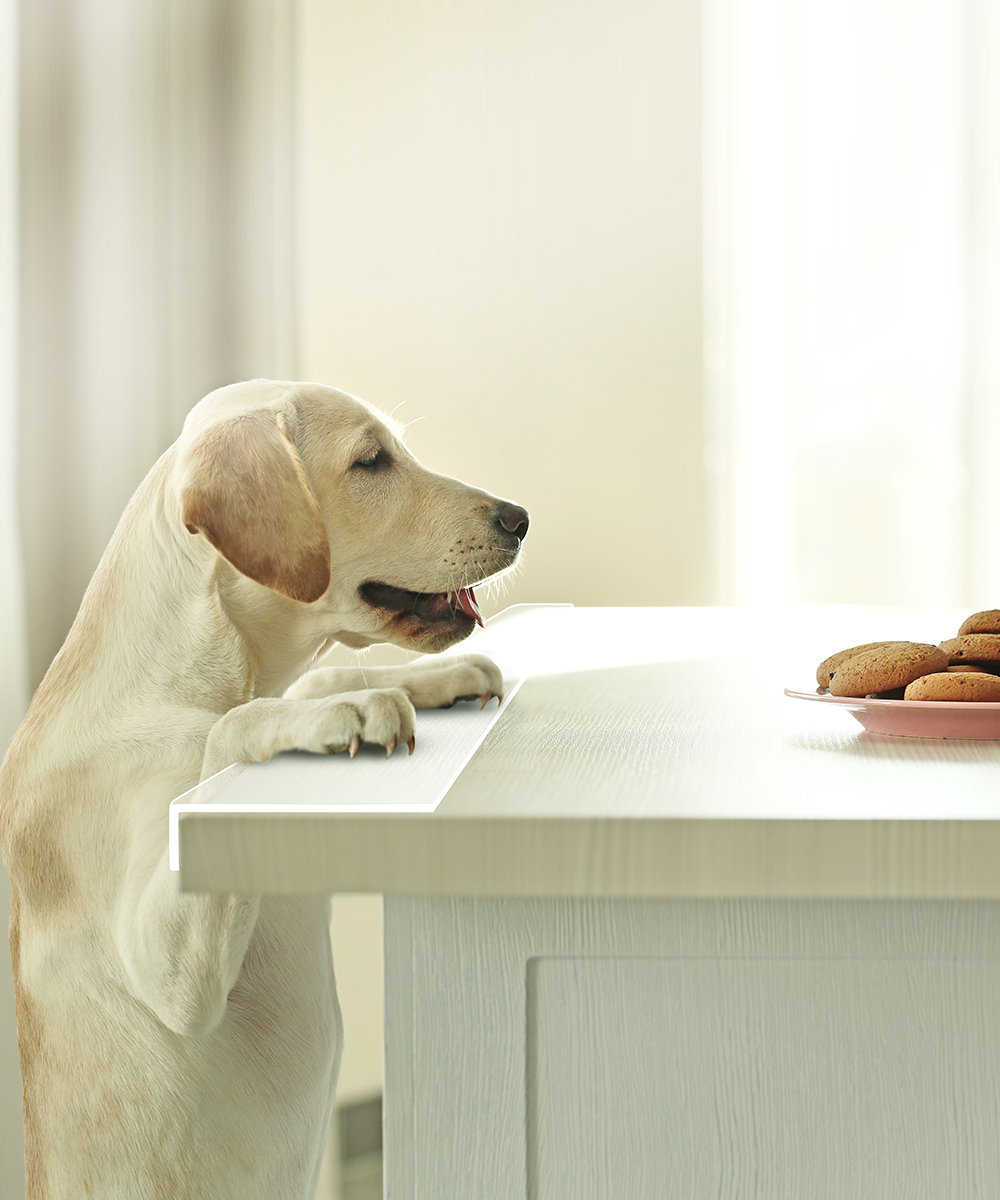 CLAWGUARD Clear Counter Protector Scratch Barrier Against Sharp Nails ...