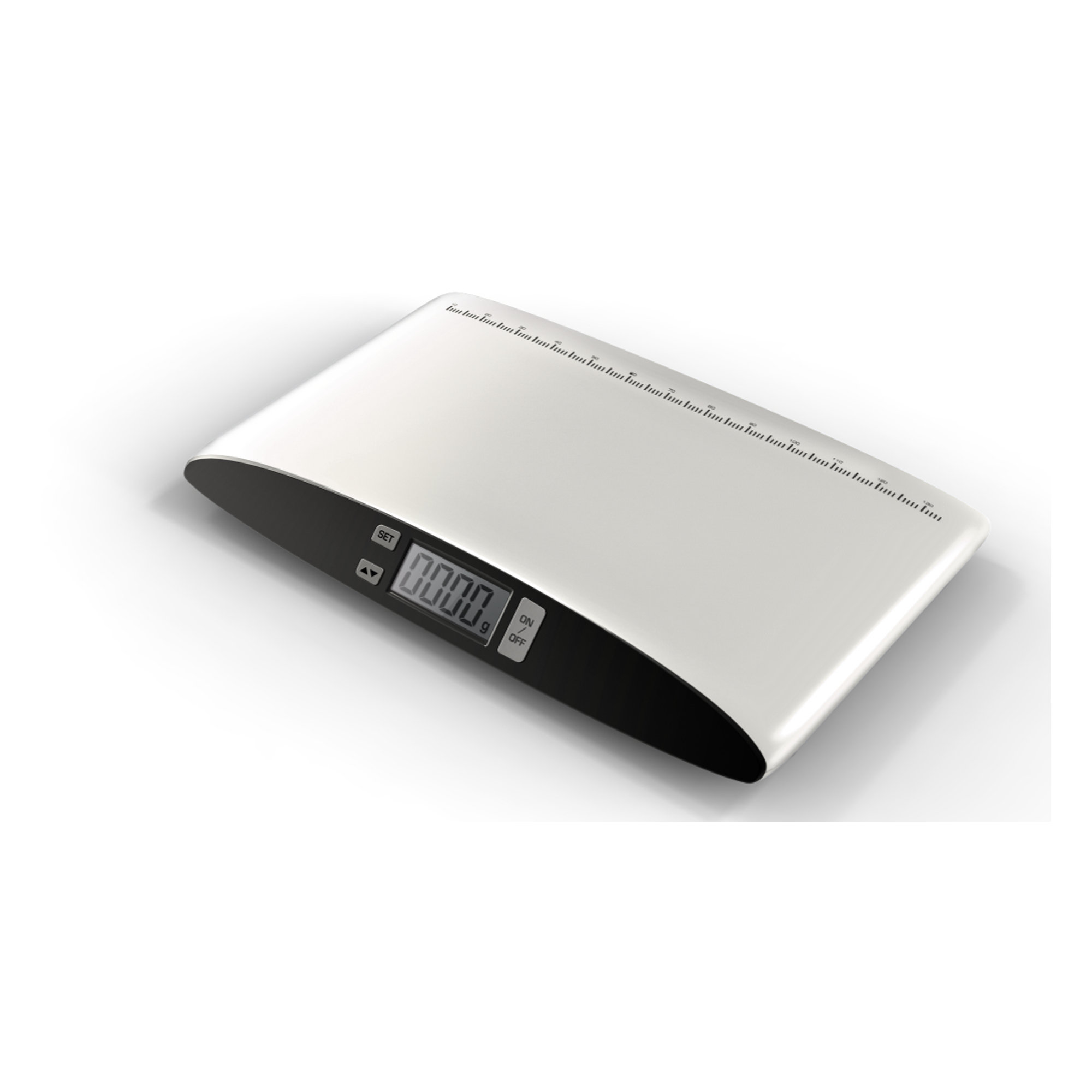 Redmon Precision Digital Baby Scale & Reviews - Wayfair Canada