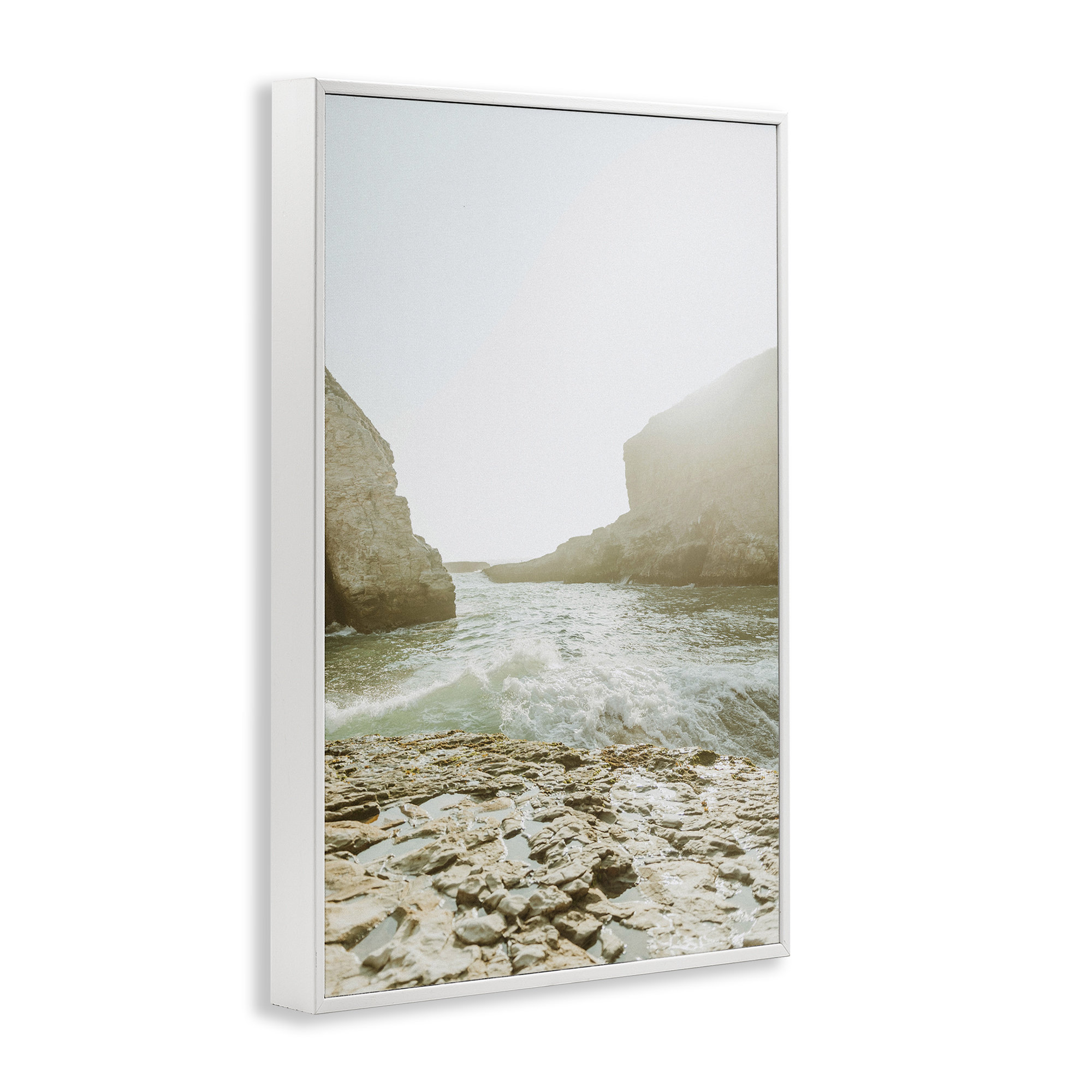 Stupell Industries Rocky Beach Cove Framed Giclee Art by Incado | Wayfair