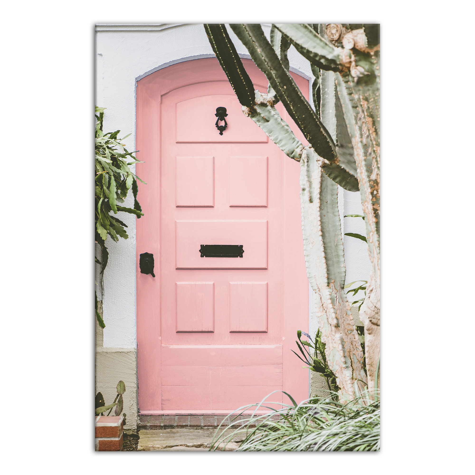 Winston Porter Blush Door On Canvas Print | Wayfair