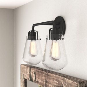 Steelside™ Camryn 2-Light Dimmable Matte Black Vanity Light & Reviews ...