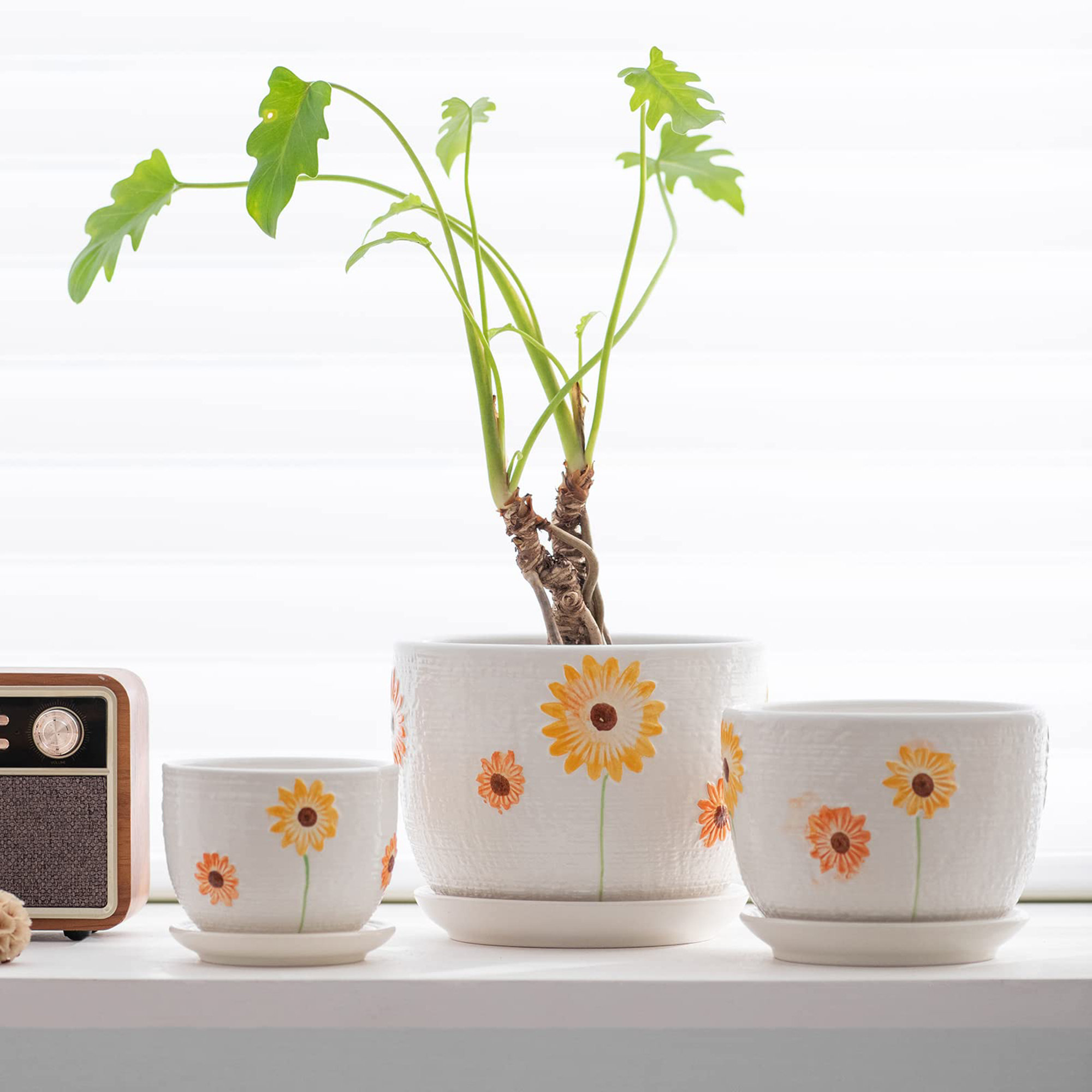 Ophelia & Co. Ceramic Texture Flower Planter Set of 3 | Wayfair