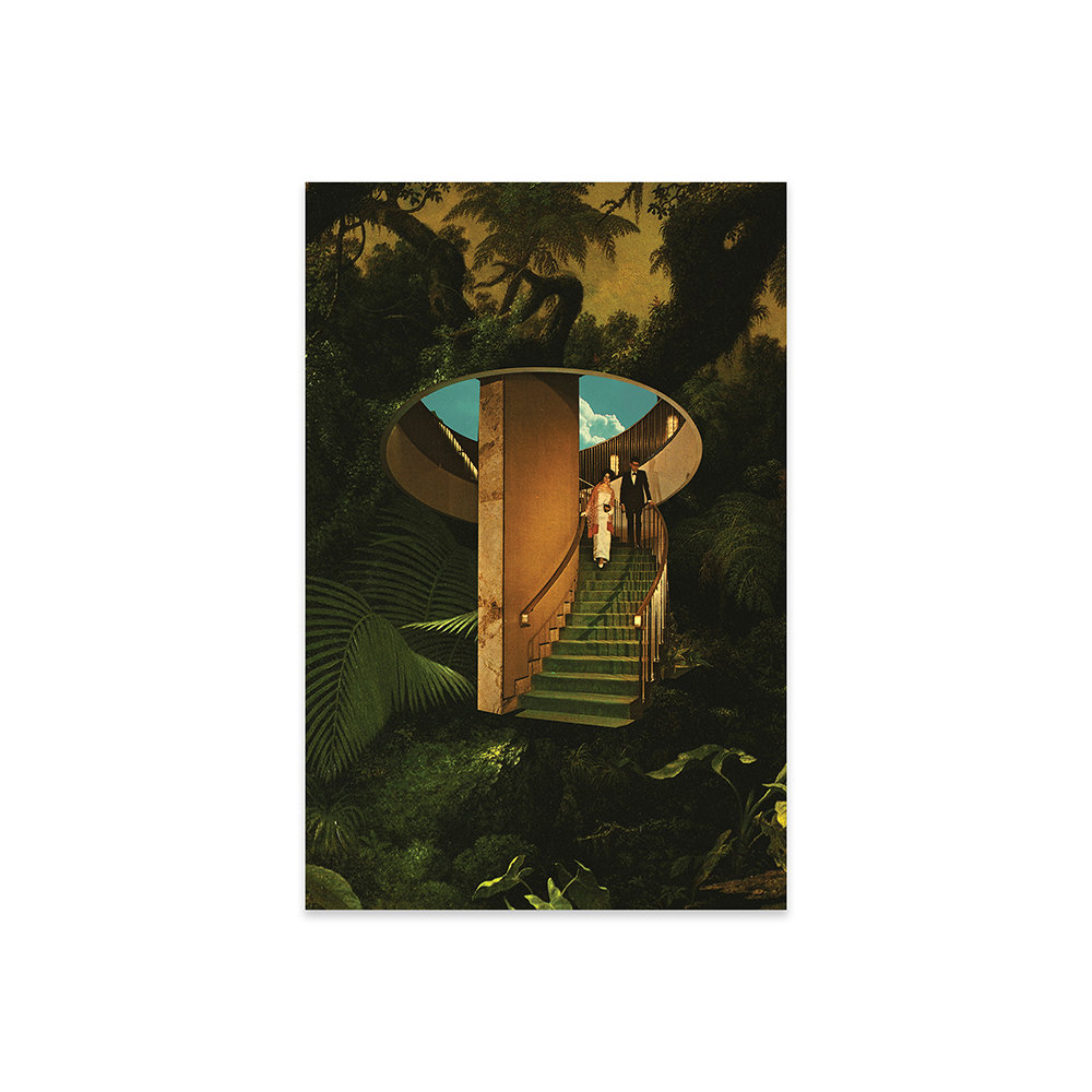 Bay Isle Home™ Into the Wild by Fran Rodriguez - Unframed Graphic Art ...