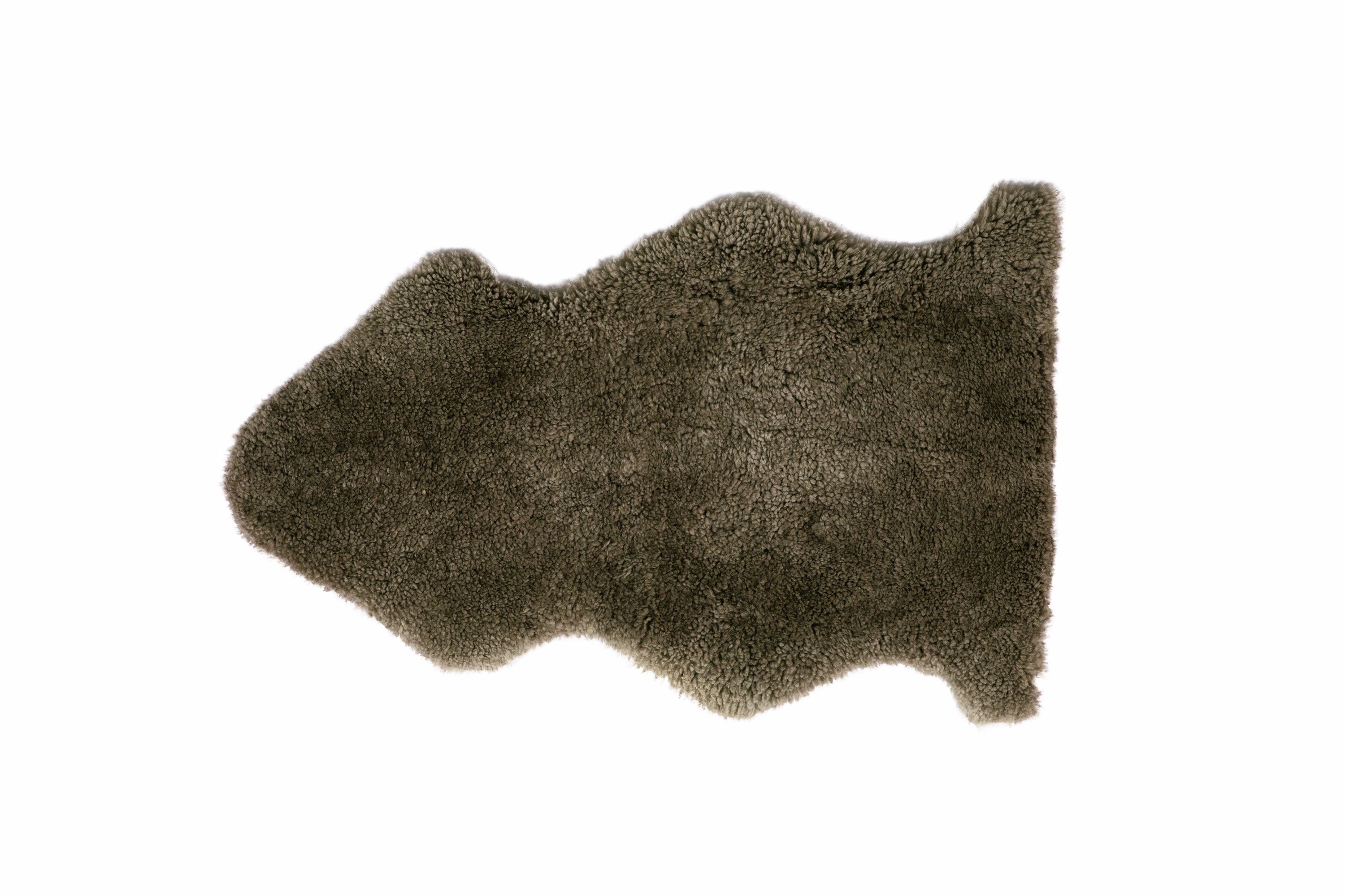 Mercer41 Single pelt shorn curly sheepskin rug | Wayfair