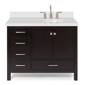Latitude Run® Amariani 43'' Free-standing Single Bathroom Vanity with ...