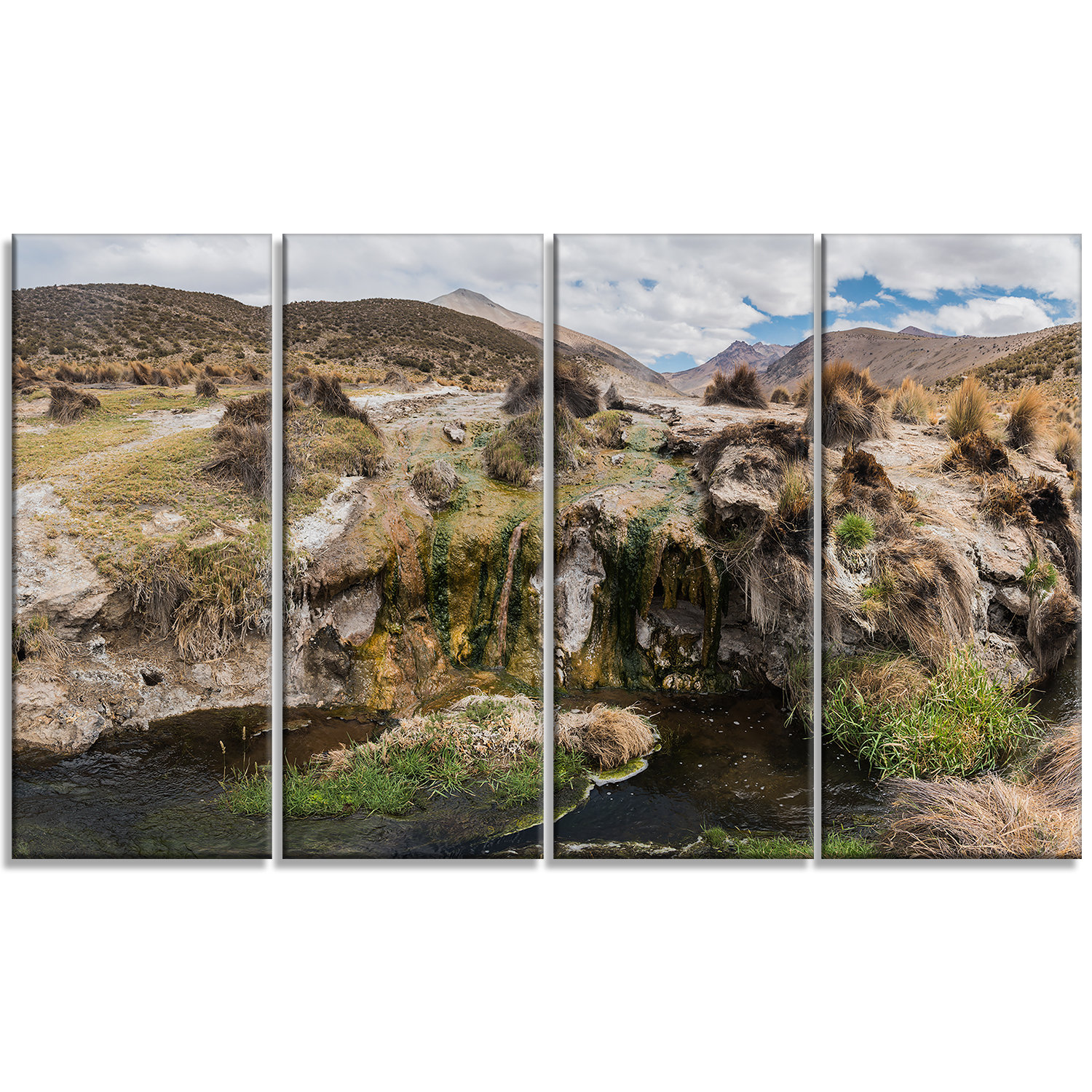 Design Art 'Fumaroles Altipano Geothermal Area' 4 Piece Wrapped Canvas ...