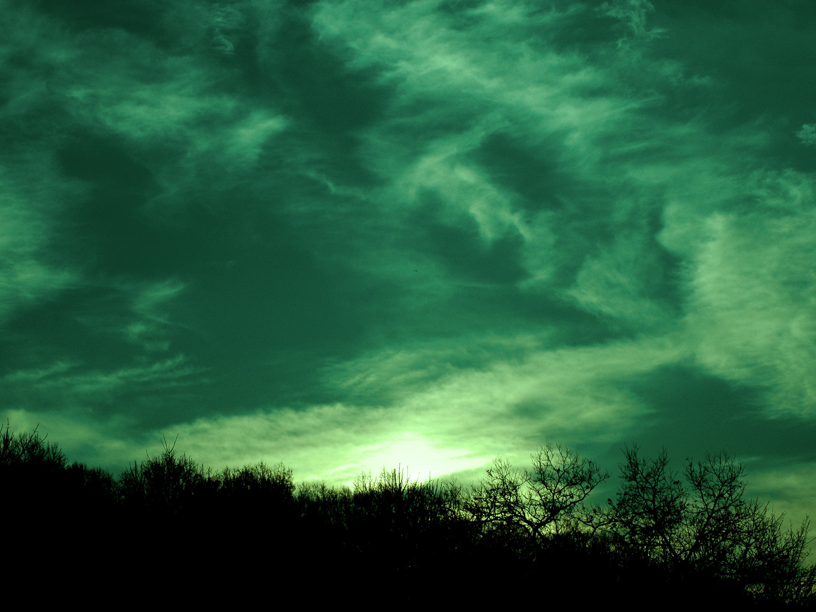 Made & Curated Green Sunset By Adam Sherbell | Wayfair