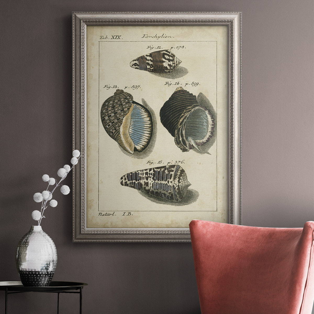 Highland Dunes Vintage Shell Study III - Picture Frame Print on Canvas ...