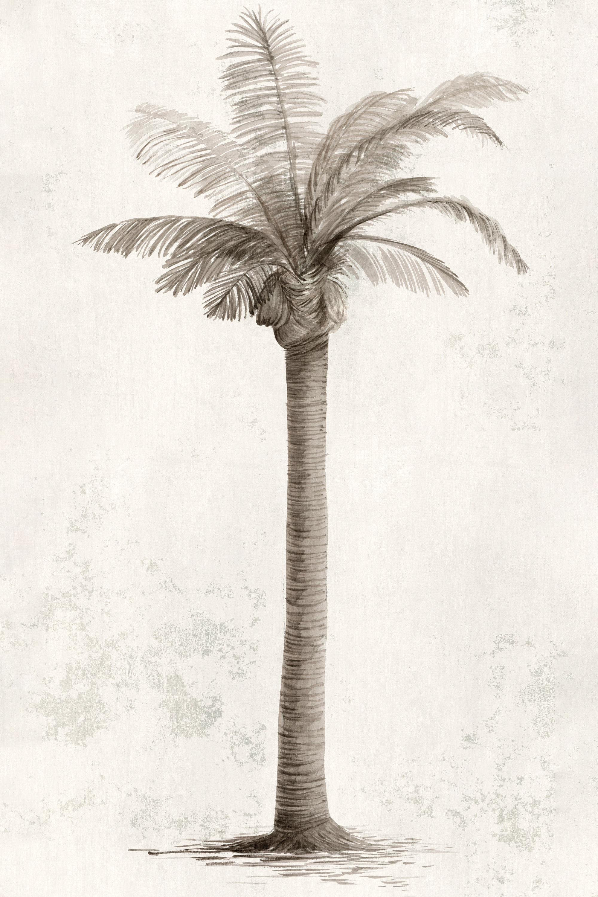 Bay Isle Home™ Machine-Made Palm Tree Print | Wayfair