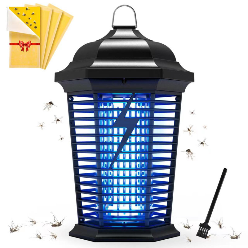 ARC 12" Plug-in Outdoor Lantern & Reviews | Wayfair