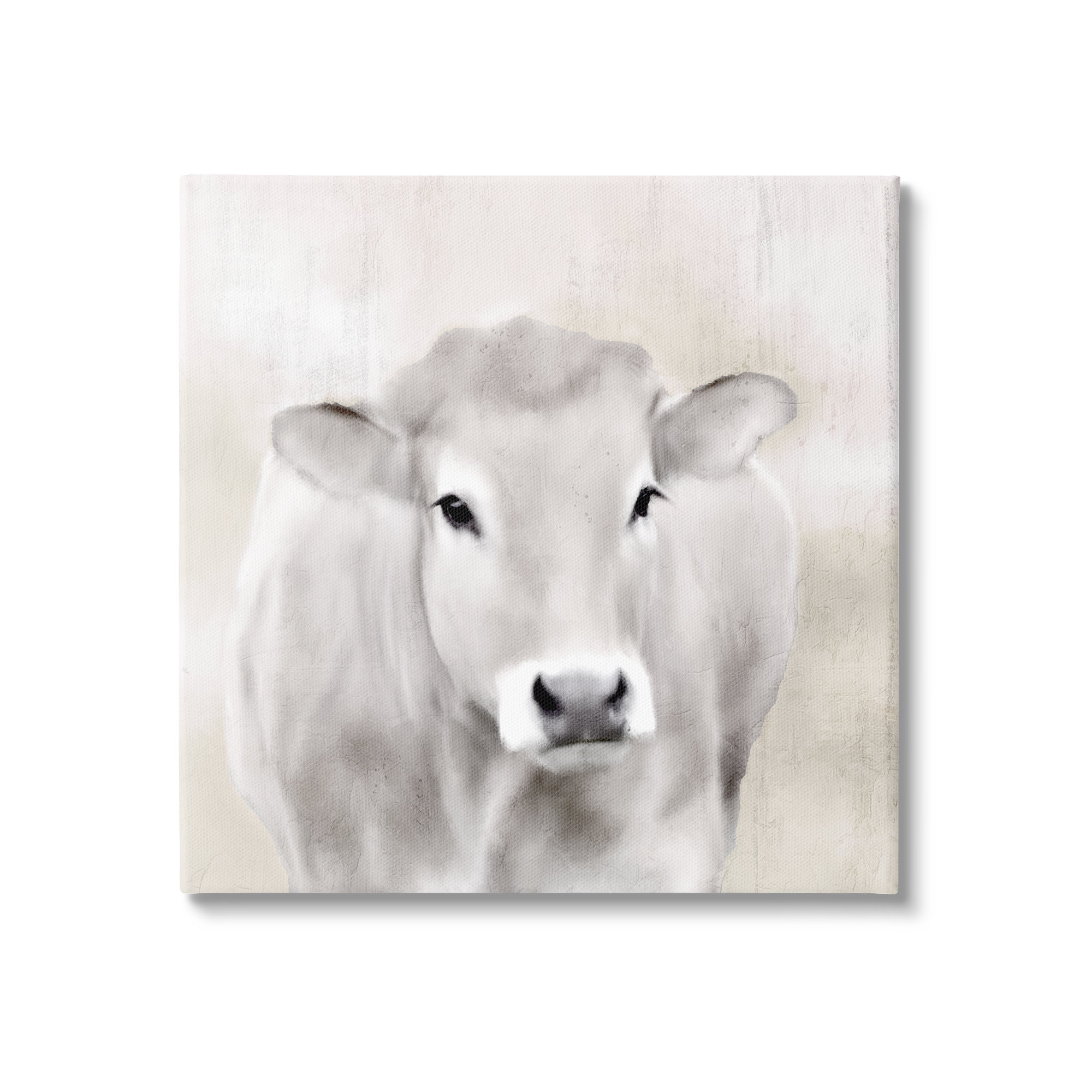 Gracie Oaks Soft Cattle Portrait Canvas Wall Art Design By Kim Allen ...