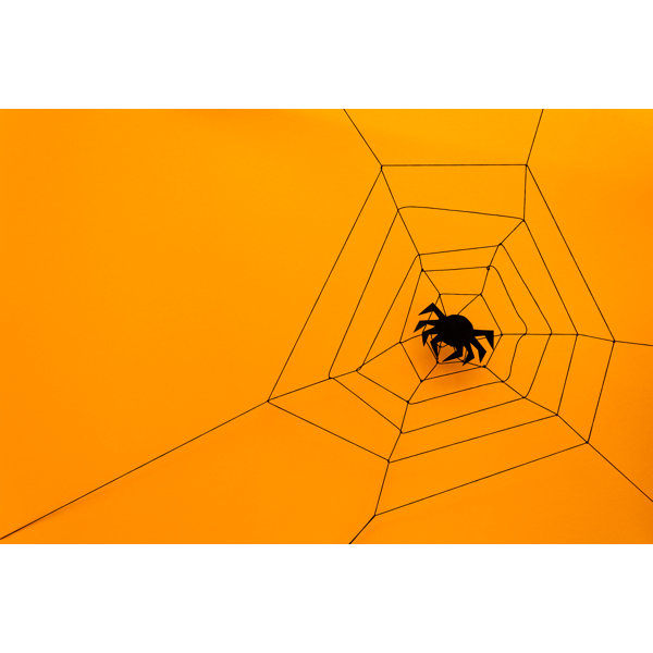 Hokku Designs Fleurimon Black Paper Spider With Web On Canvas by Tshum ...