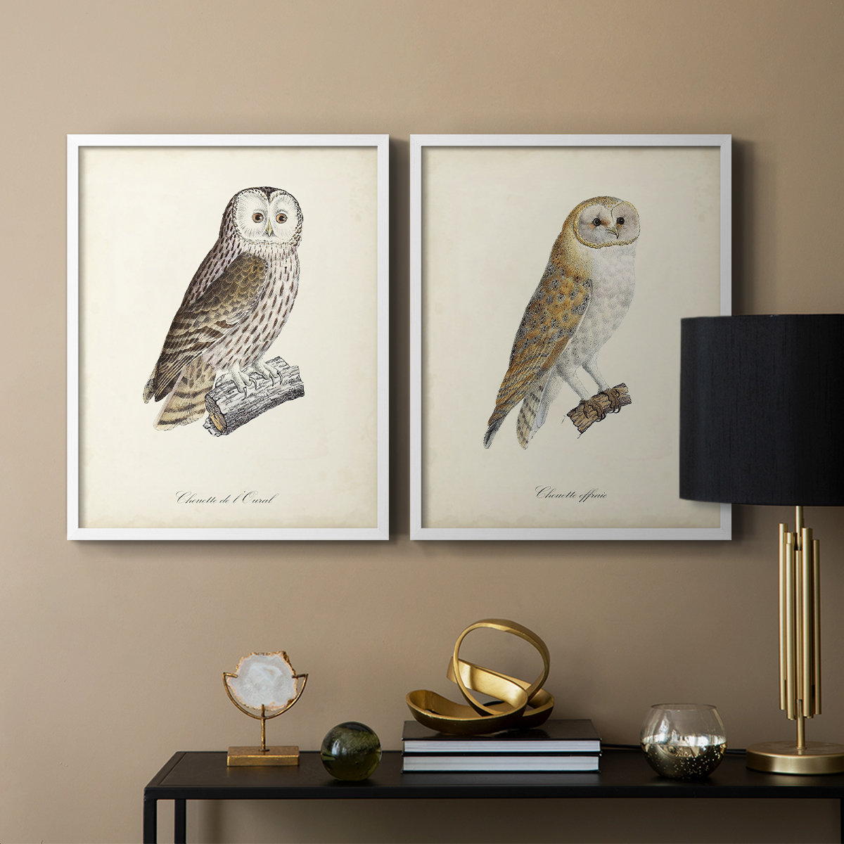 Wrought Studio™ French Owls V-Premium Framed Print -Ready to Hang - No ...