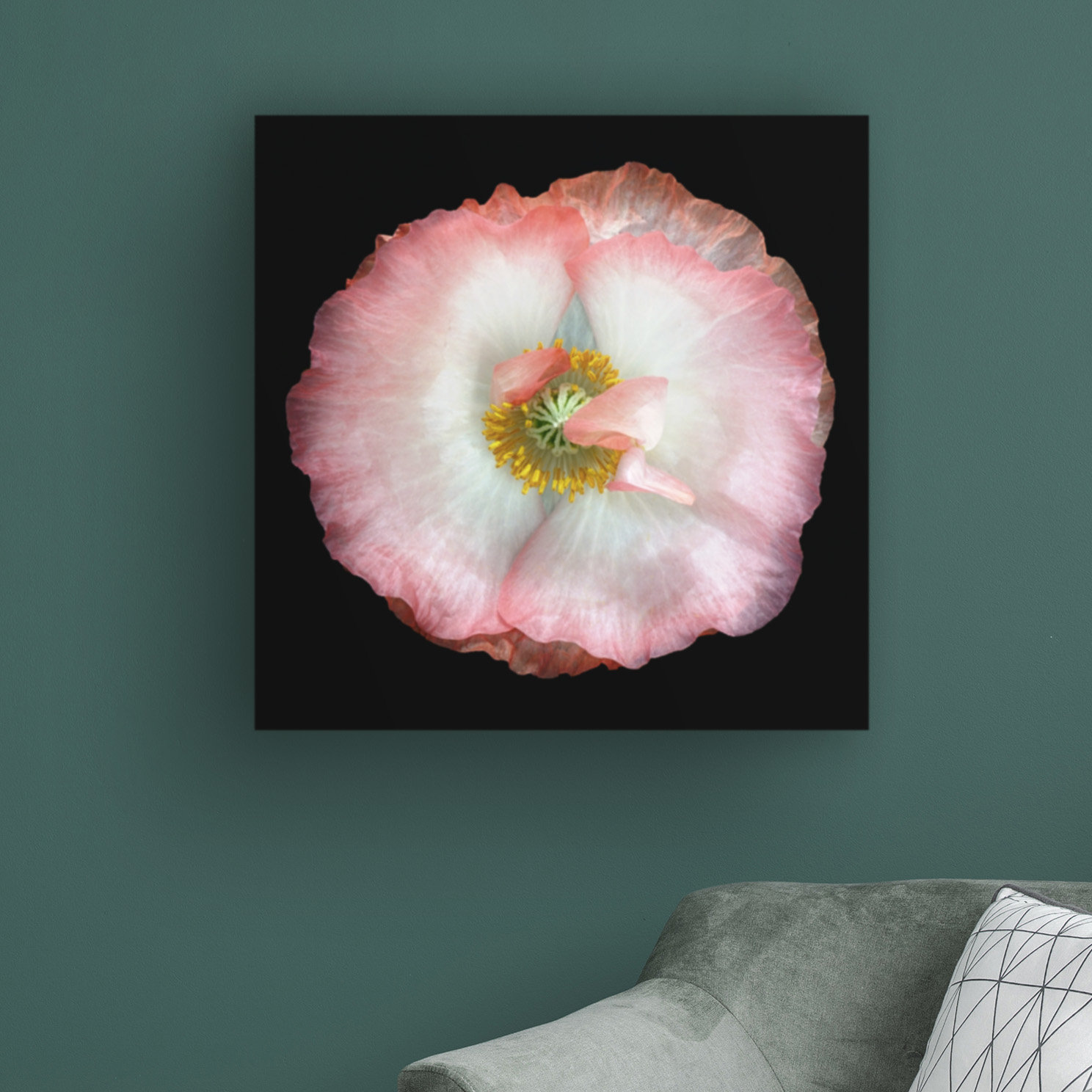 Latitude Run® Lotte Gronkjar 'Homegrown Poppy' Canvas Art - Wayfair Canada
