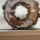 The Seasonal Aisle Preserved 30cm Wreath & Reviews | Wayfair.co.uk