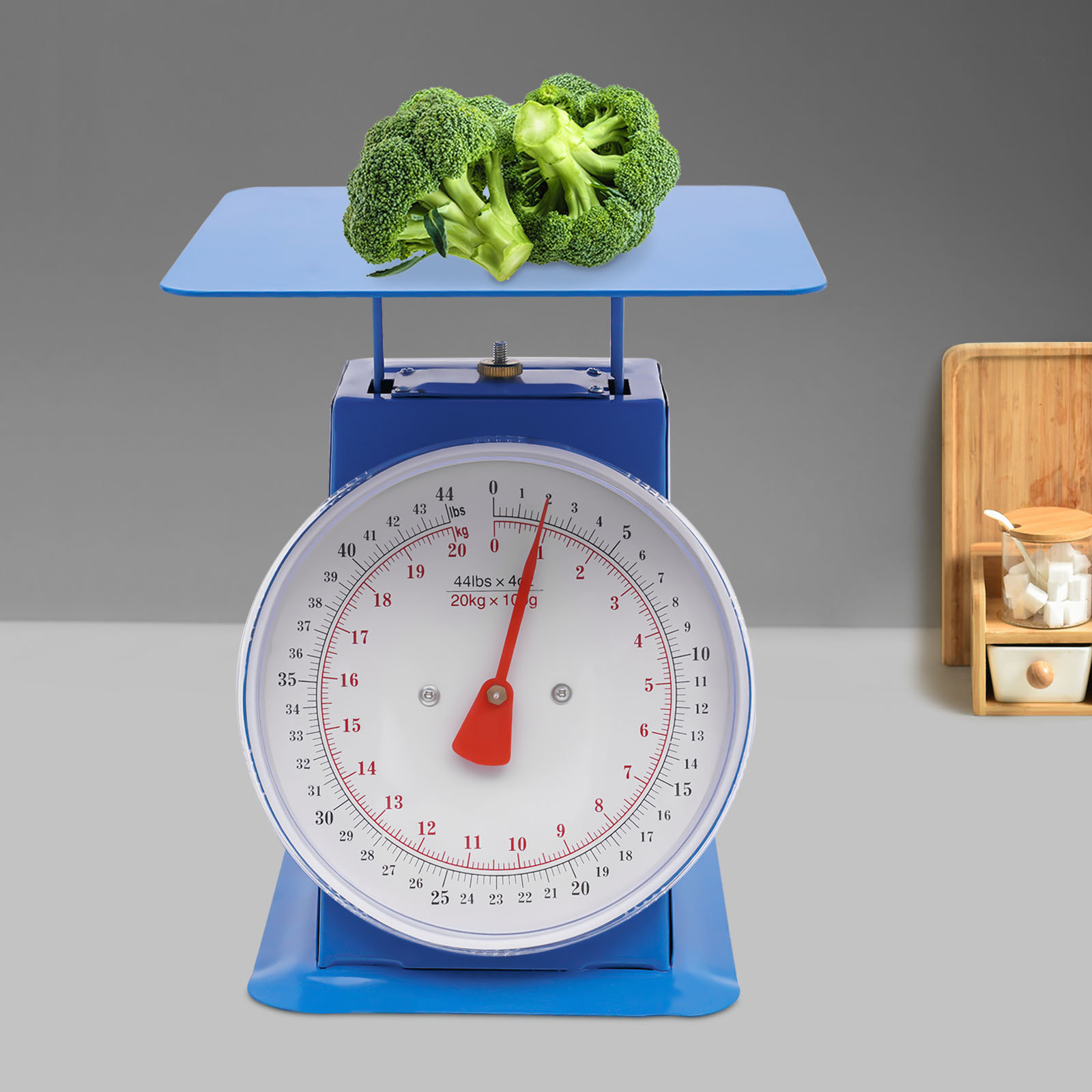 SUNYOU 44.09lbs Industrial Dial Scale,Heavy Duty Portion-Control ...