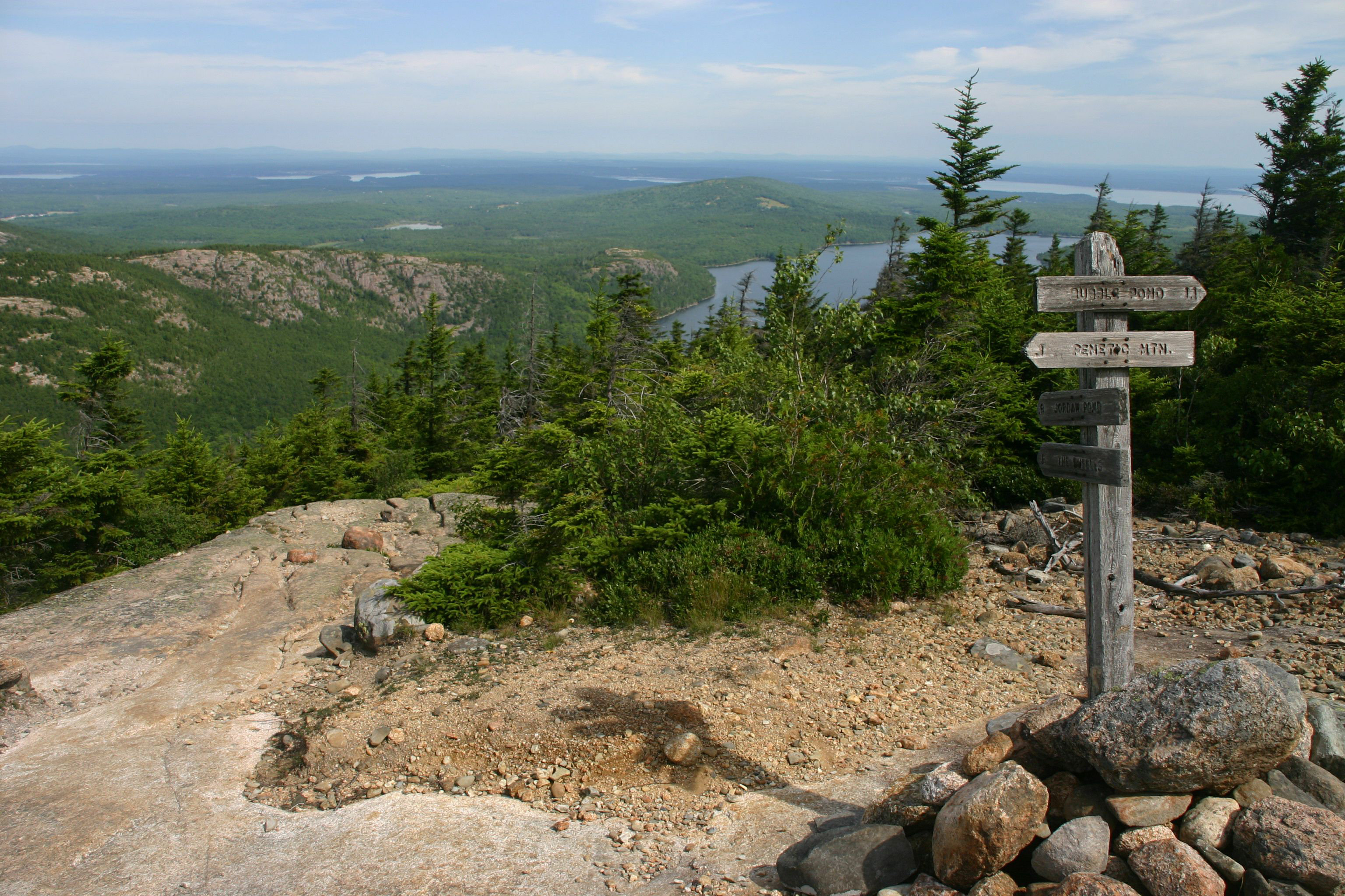 Millwood Pines Acadia National Park Summit by Visionsofmaine - Wrapped ...