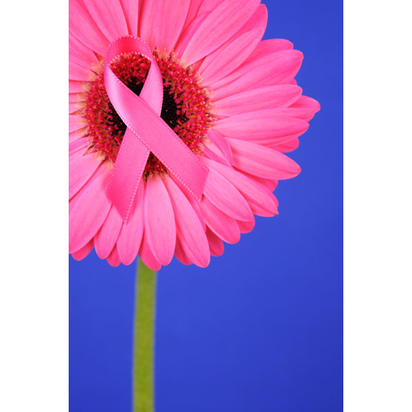17 Stories Breast Cancer Ribbon - Wrapped Canvas Print | Wayfair.co.uk