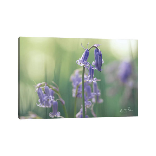 Latitude Run Bluebell II by Martin Podt - Wrapped Canvas Print ...