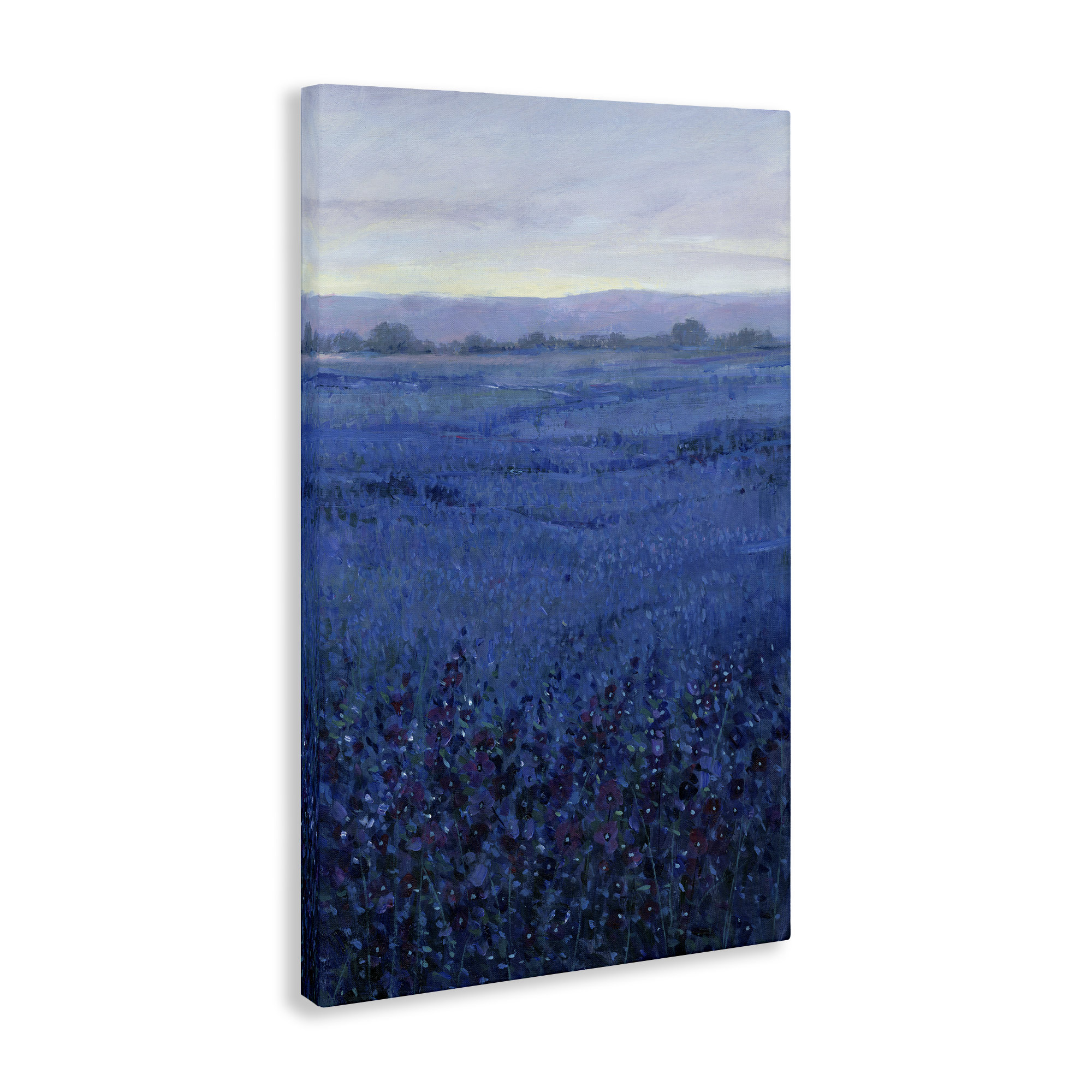 Winston Porter Blue Country Fields Canvas Wall Art by Tim OToole | Wayfair