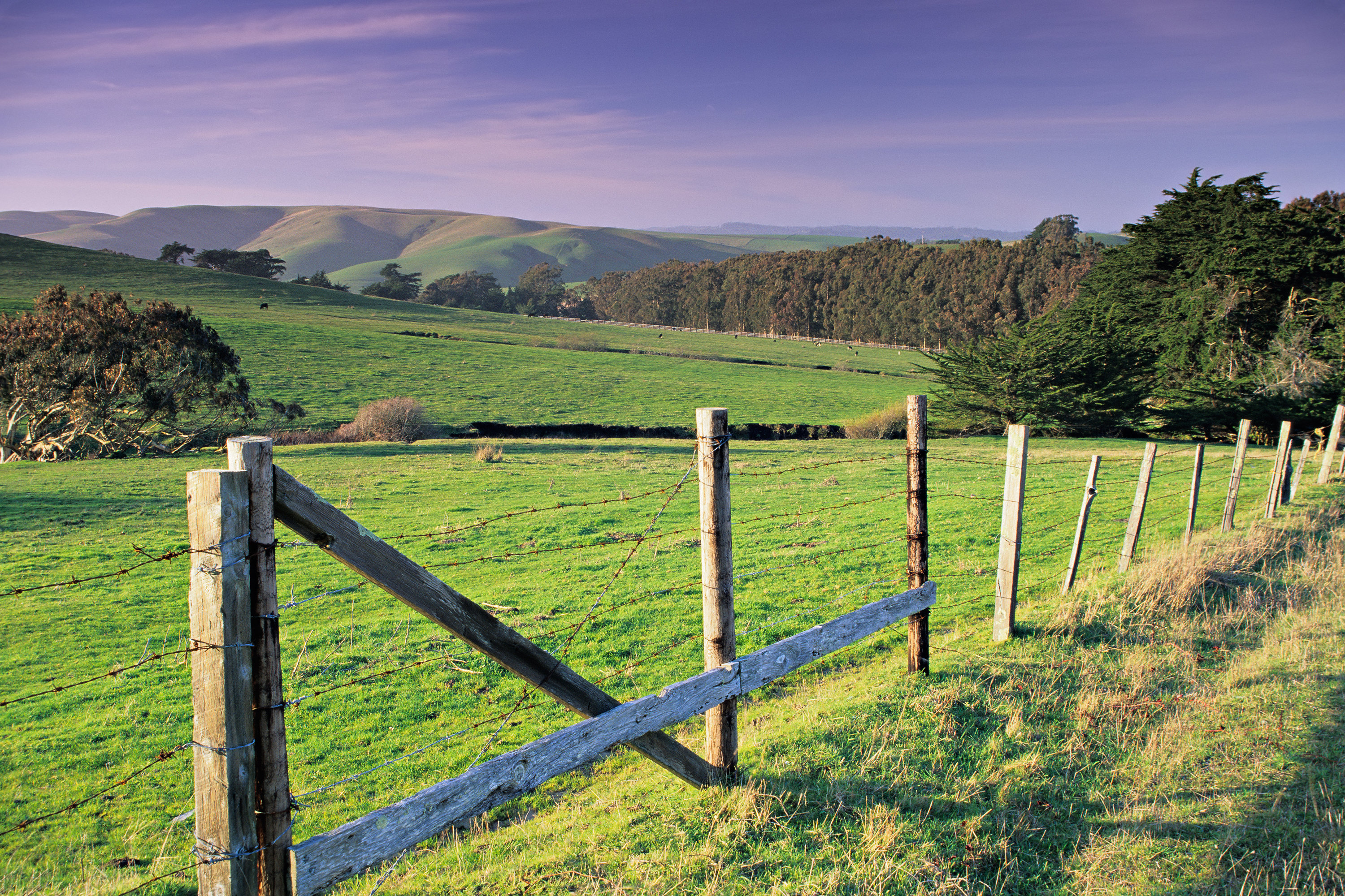 17 Stories Rural california | Wayfair.co.uk