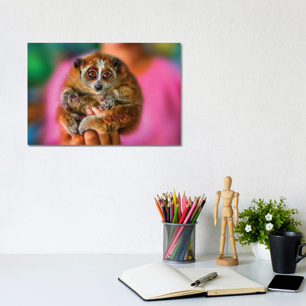 Ebern Designs Slow Loris 2 - Thailand 92 by Ben Heine - Wrapped Canvas ...