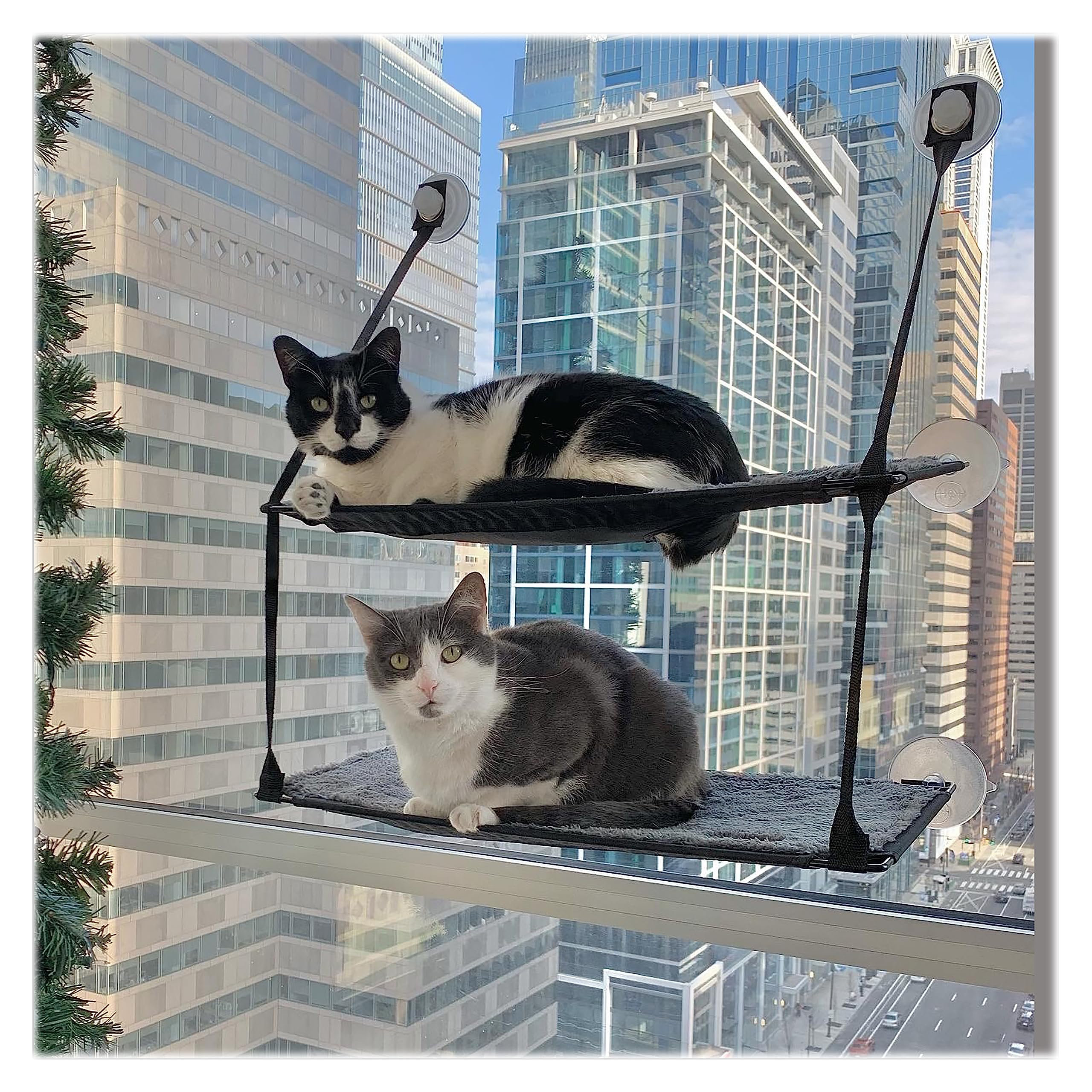 George Oliver Pet Products Mount Window Sill Cat Bed, Cat Window ... George Oliver Pet Products Mount Window Sill Cat Bed, Cat Window ...