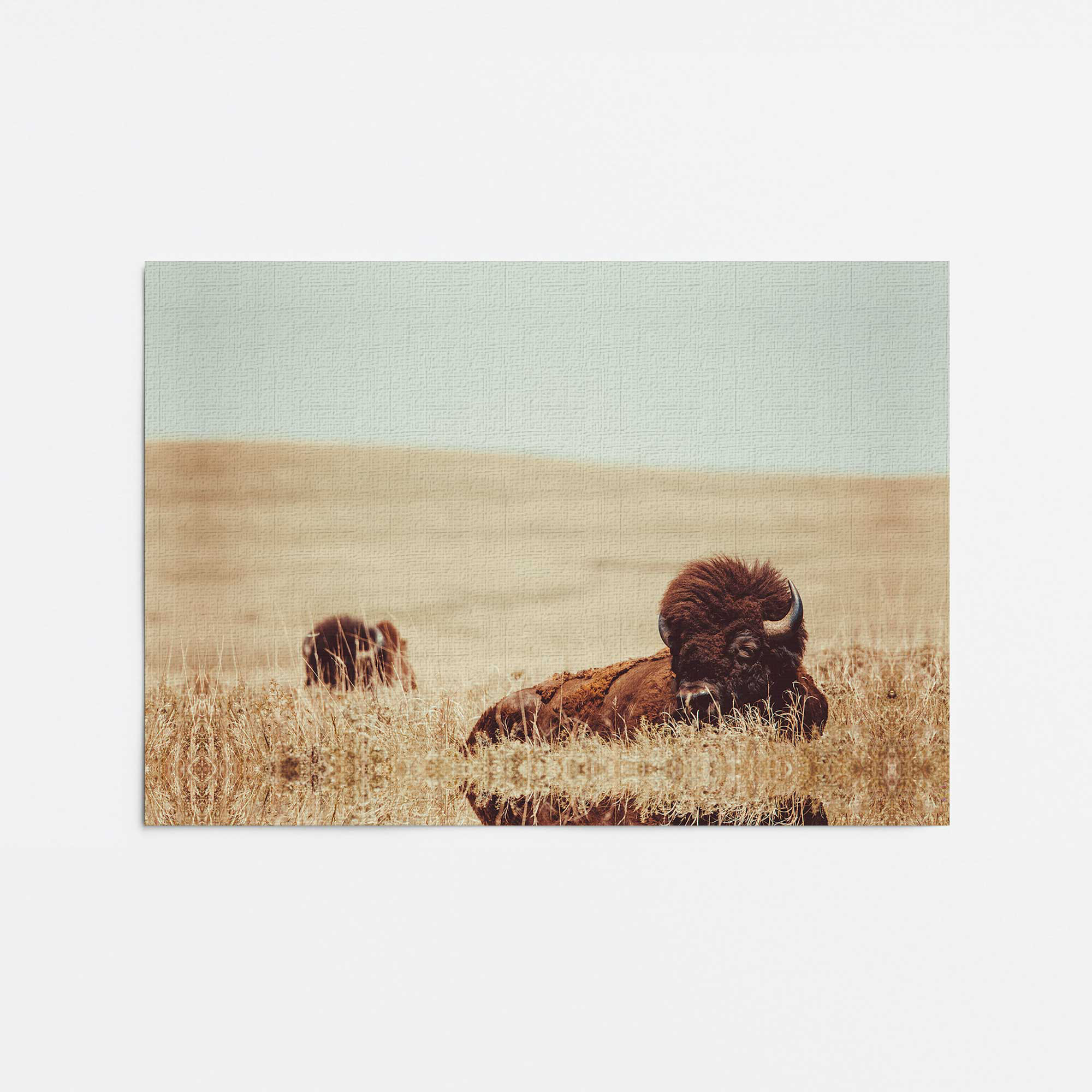 Union Rustic Prairie Giants Resting Canvas Print | Wayfair