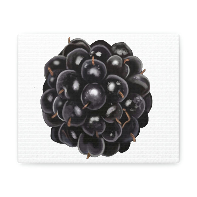Latitude Run® Blackberry by Kelly Johnson - Wrapped Canvas Graphic Art ...