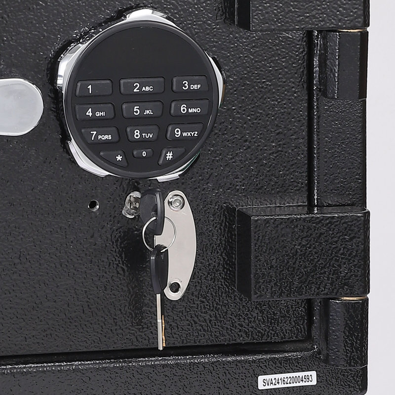 Yesurprise Depository Safe Lock | Wayfair