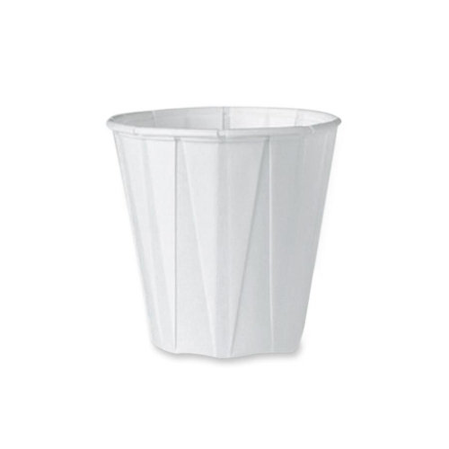 Solo Cups Pleated Paper Cup, 100/BG, White | Wayfair