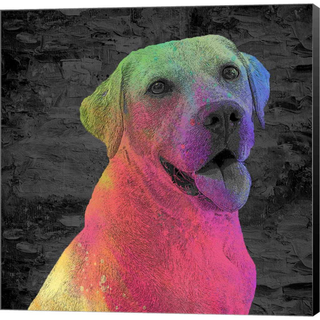Winston Porter Lab by Kimberly Allen - Wrapped Canvas Graphic Art | Wayfair