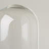 Breakwater Bay Maryellen Dome Cloche & Reviews | Wayfair.co.uk