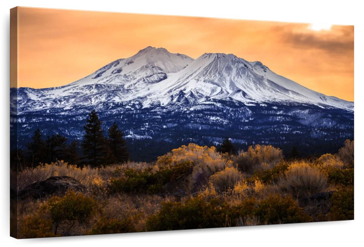 Millwood Pines Alvord Blue Shasta Mountain | Wayfair