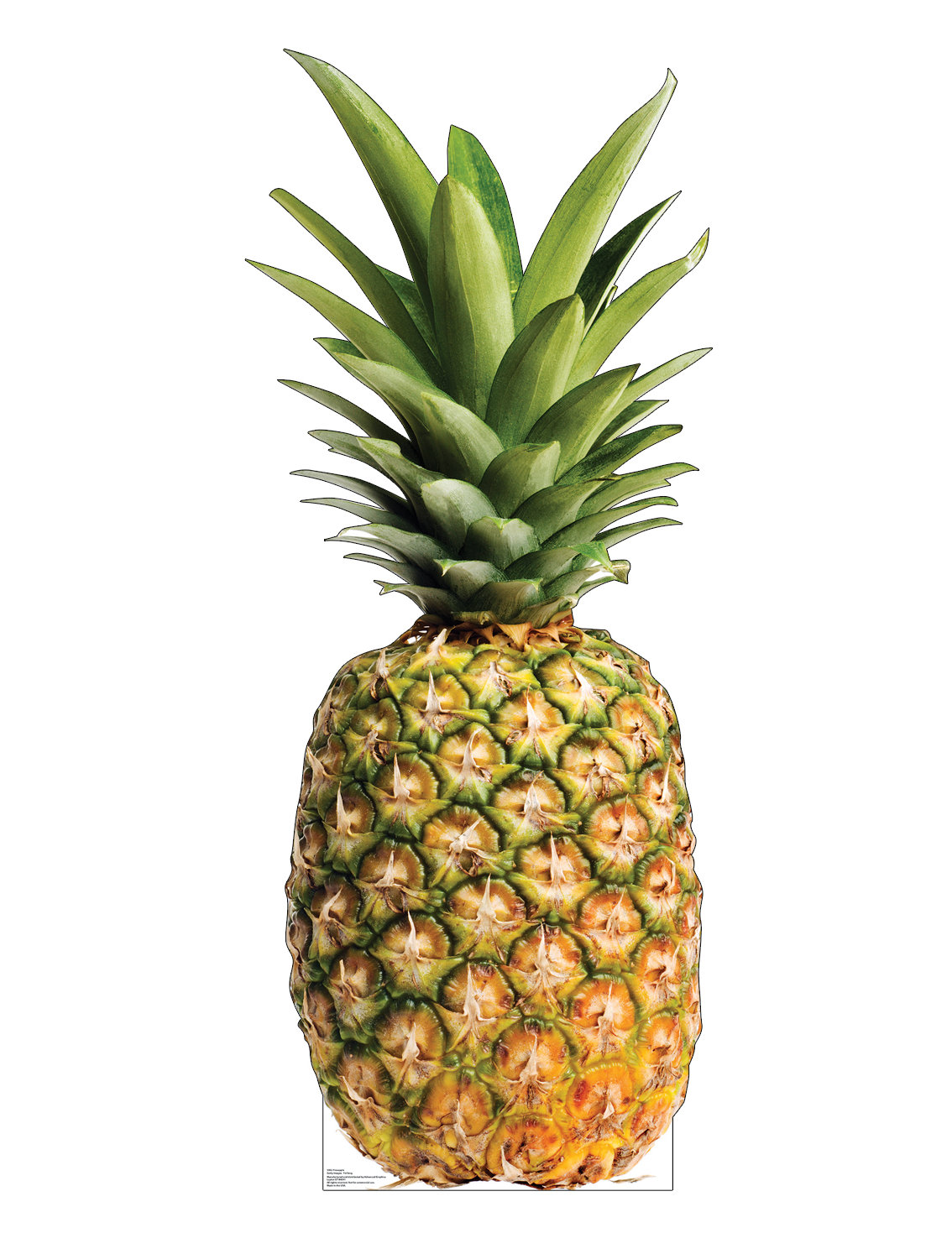 Advanced Graphics Pineapple Cardboard Standup | Wayfair