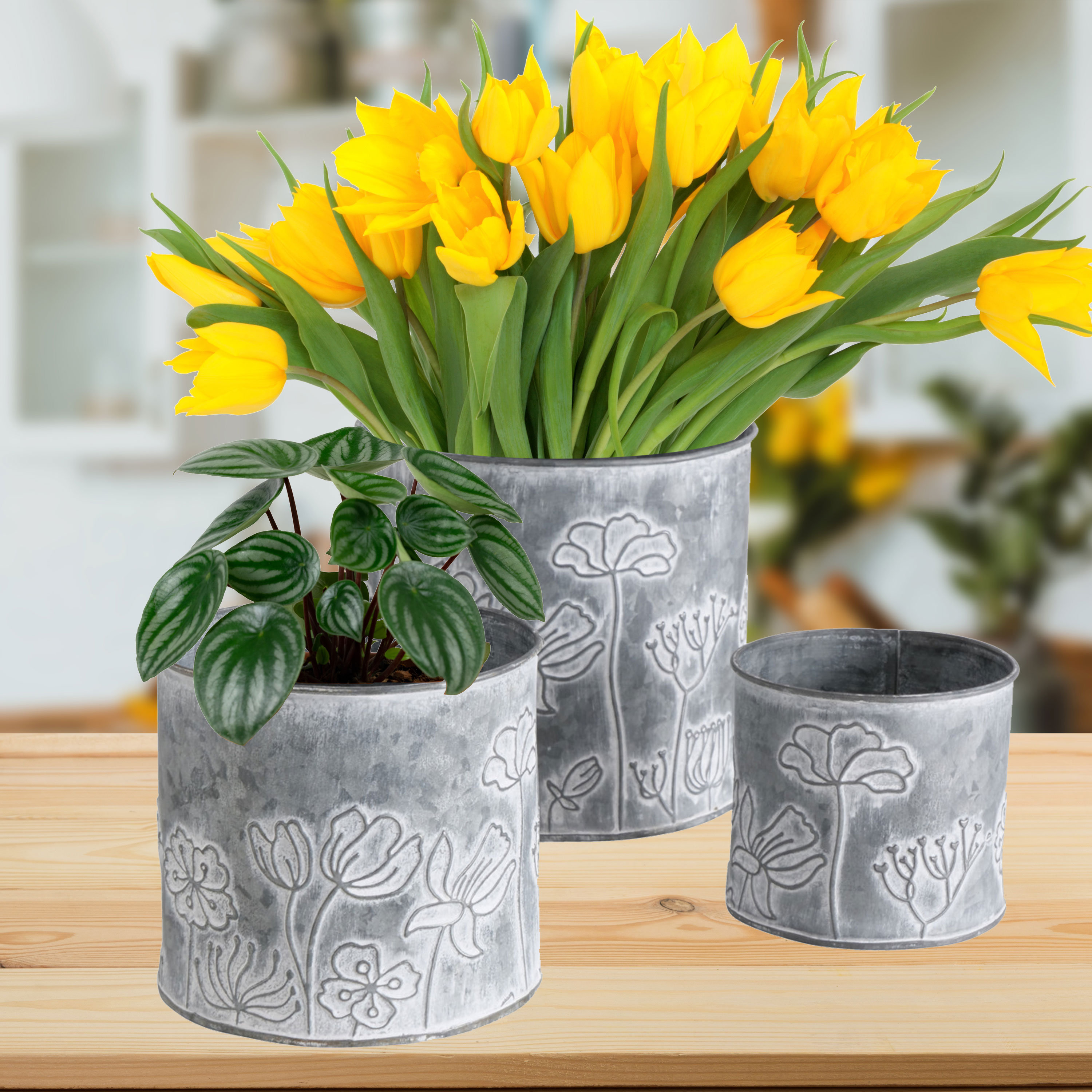 August Grove® Ajhar -3 Piece Zinc Cachepot Set | Wayfair