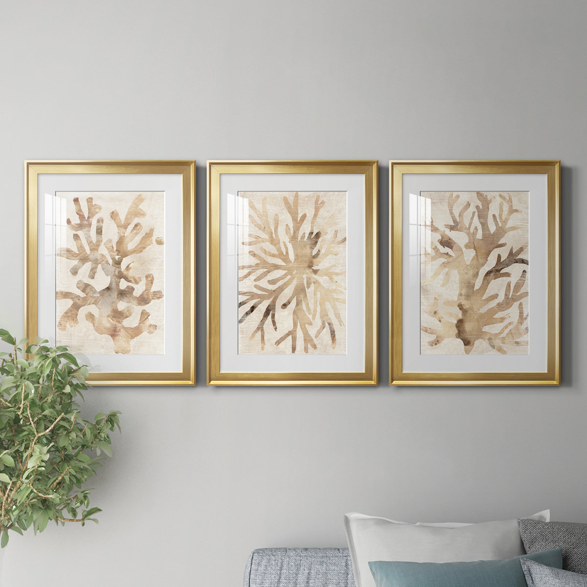 Beachcrest Home Parchment Coral I - 3 Piece Picture Frame Painting Set ...