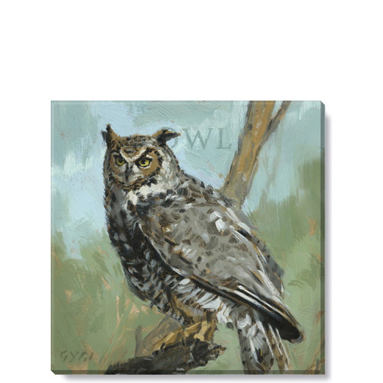 Darren Gygi Home Collection Owl Giclee Wall Art On Canvas by Darren ...