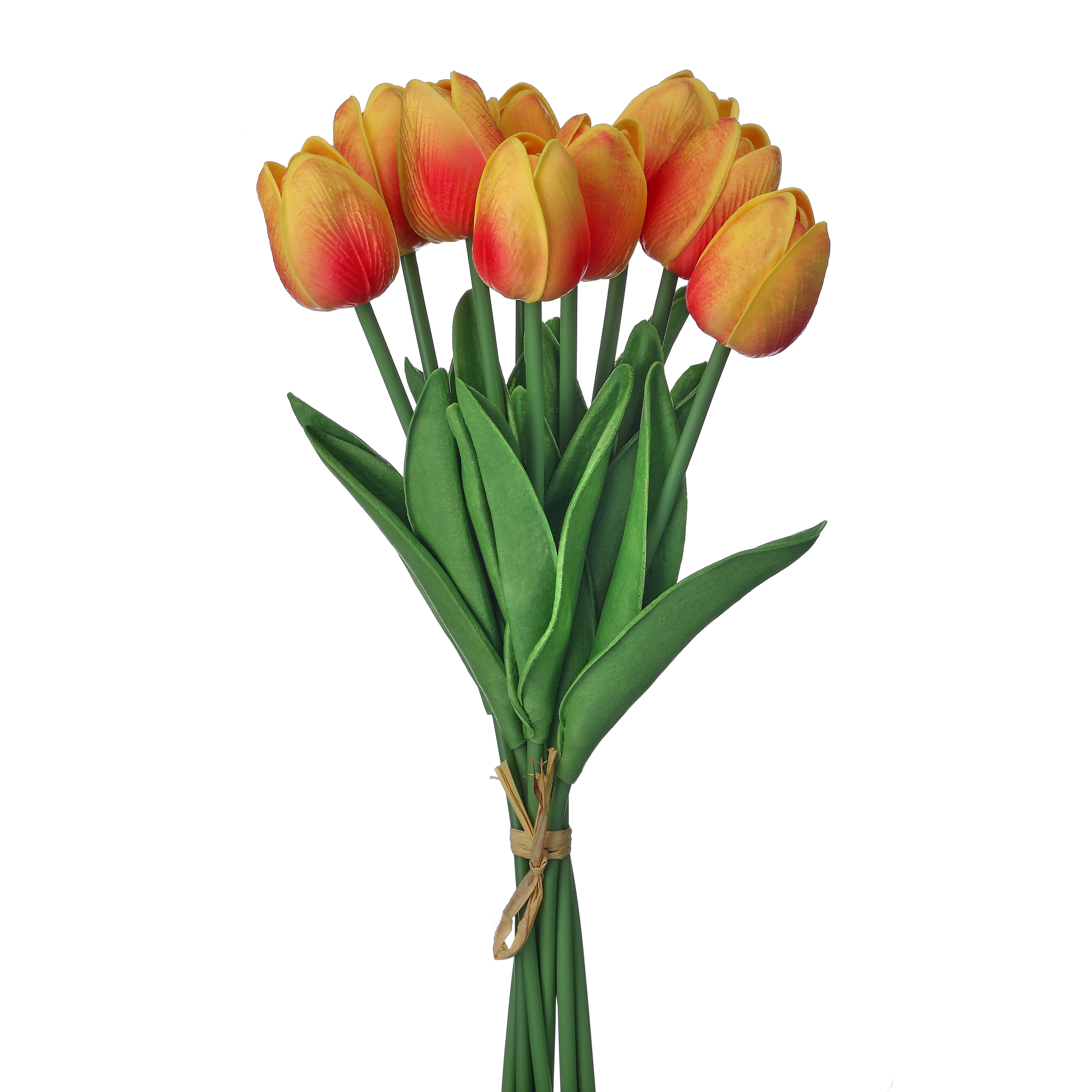 Ophelia & Co. 13" Eva Dutch Tulip Bundle | Wayfair