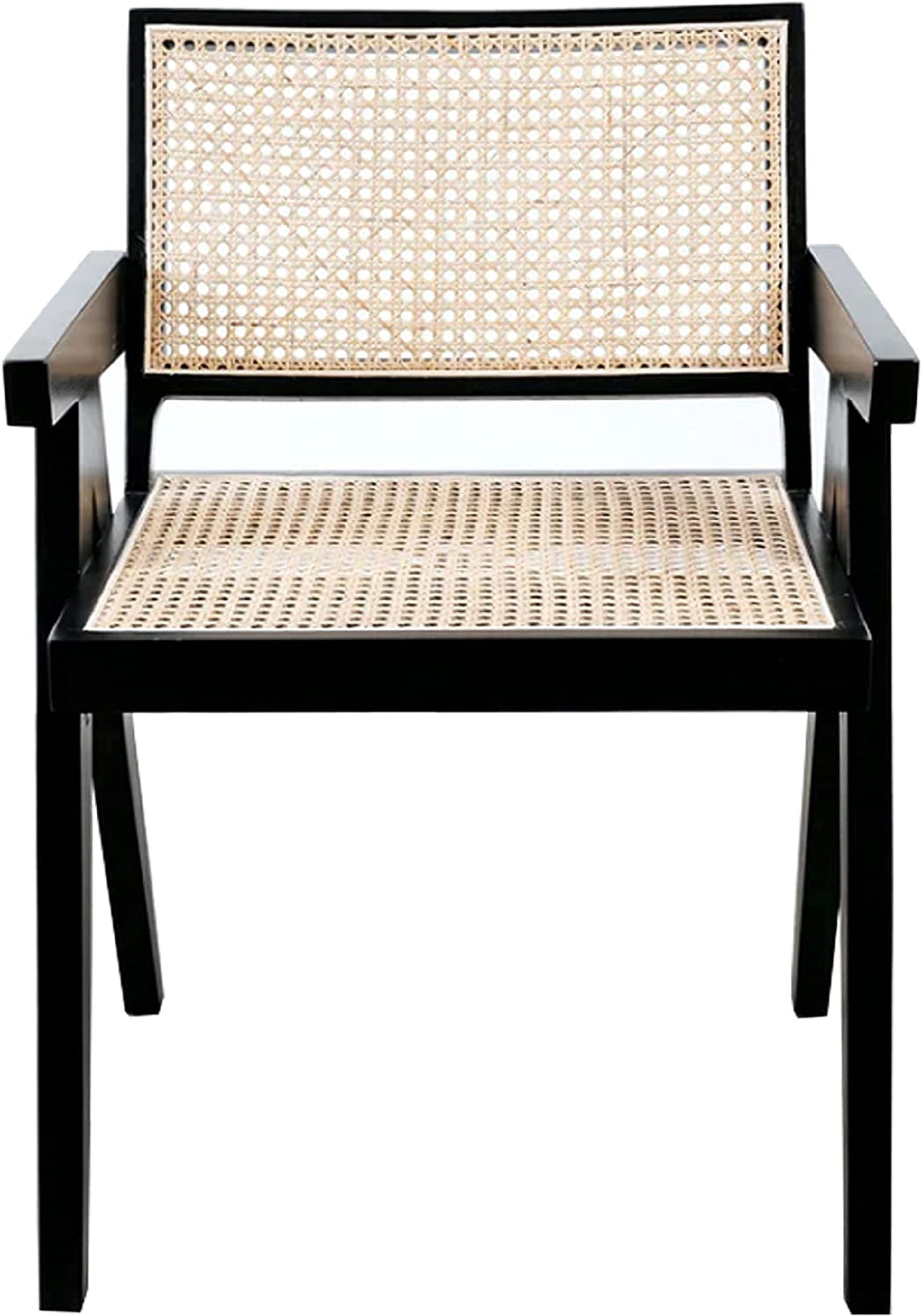 Bayou Breeze Deach Arm Chair in Black/Beige/White | Wayfair