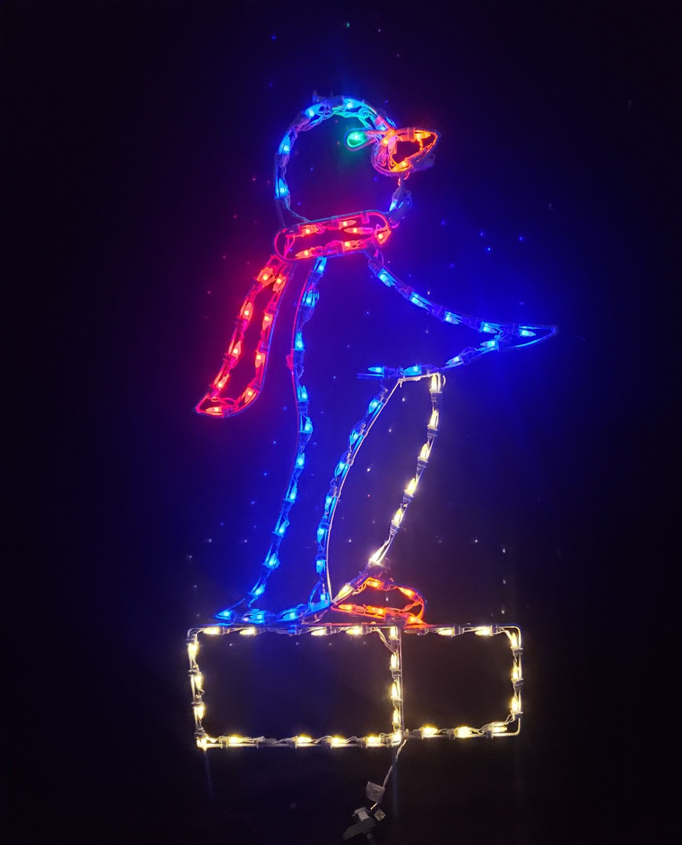 Lori's Lighted D'Lites Penguin on Block of Ice Christmas Holiday ...