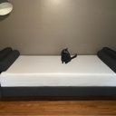 George Oliver Forkey Upholstered Daybed & Reviews | Wayfair