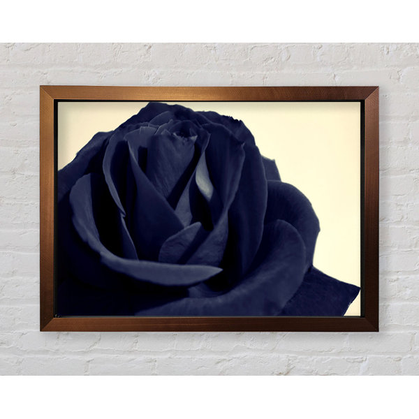 Bright Star Black Blue Rose - Single Picture Frame Art Prints | Wayfair ...