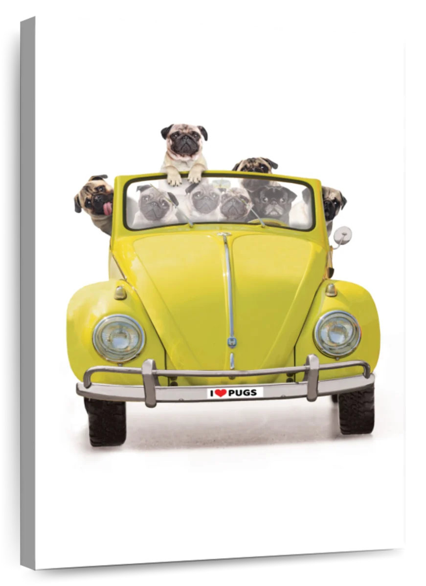 Trinx Pug Bug | Wayfair