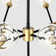 Classic Home Timothy 20 - Light Chandelier & Reviews | Perigold