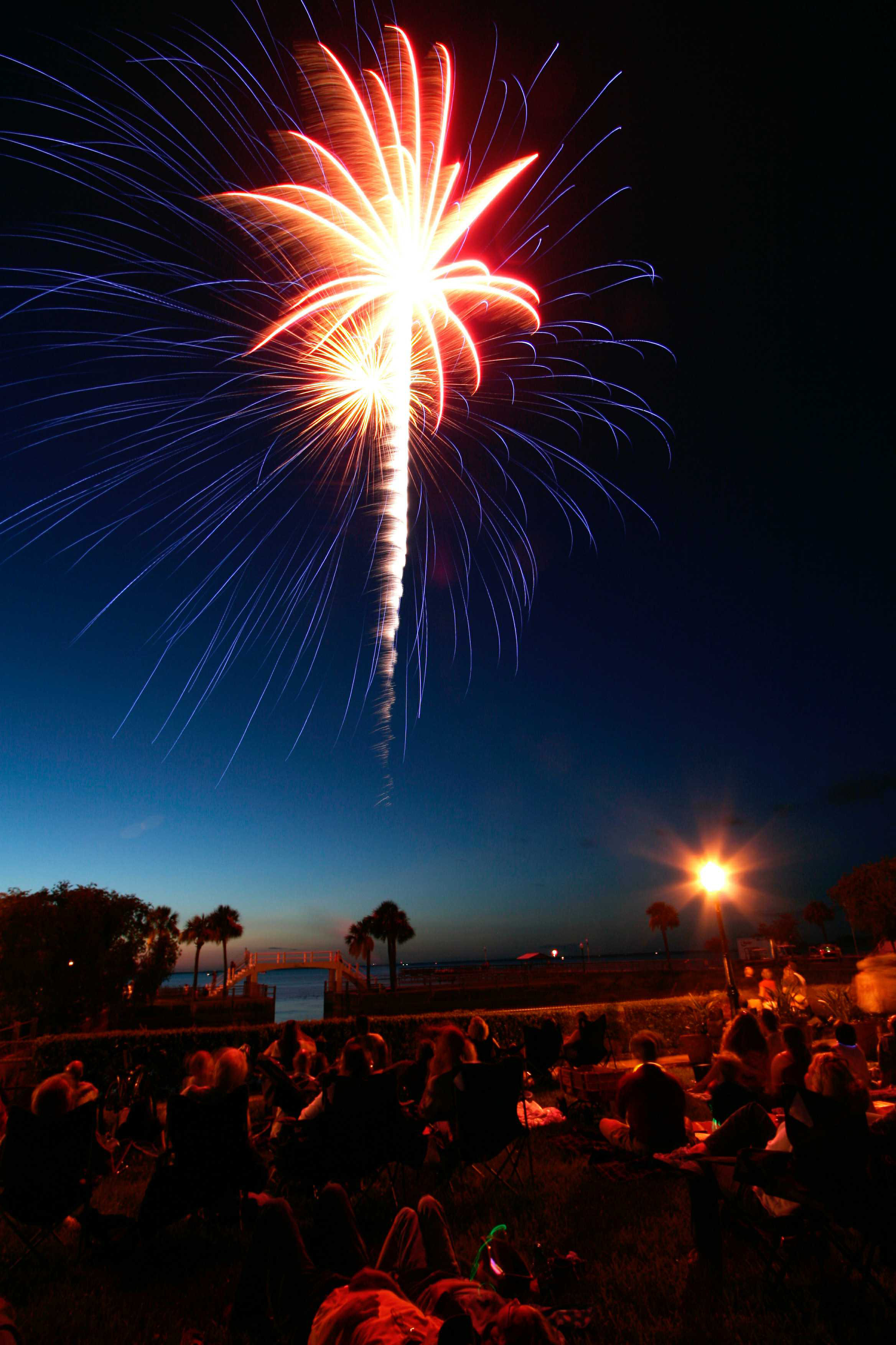 Ebern Designs Fireworks on Lake Apopka by Biologiststeve - Wrapped ...
