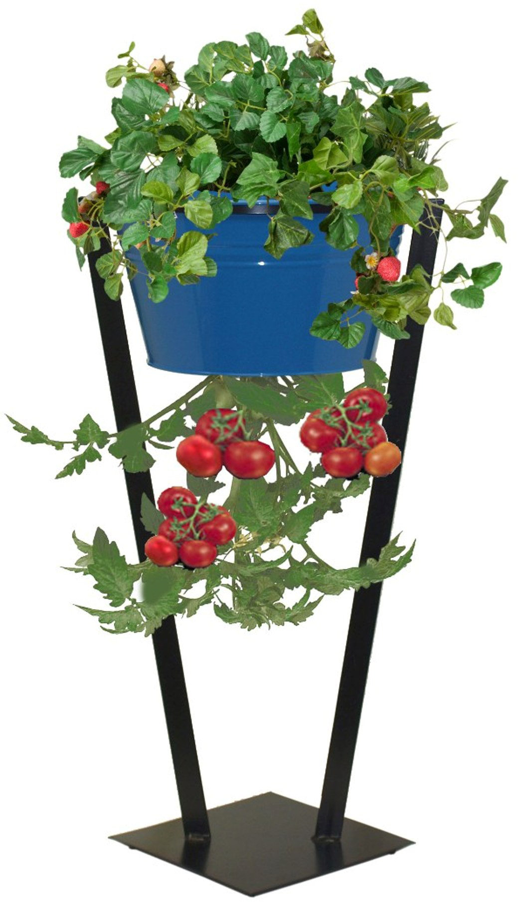 Breakwater Bay Glenisle Plant Stand & Reviews | Wayfair