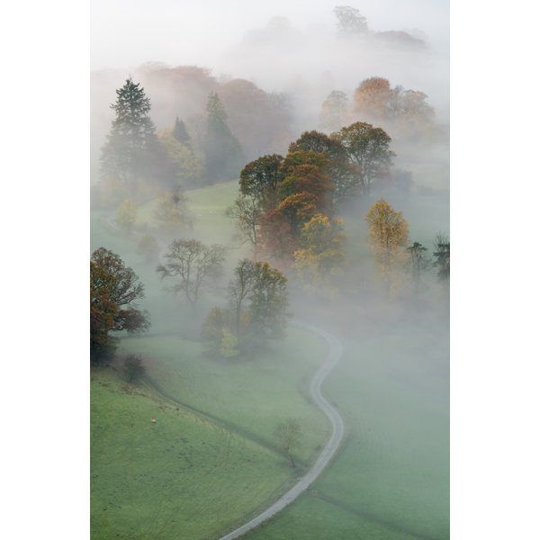 17 Stories Countryside In Fog by Daniel_Kay - Wrapped Canvas Print ...