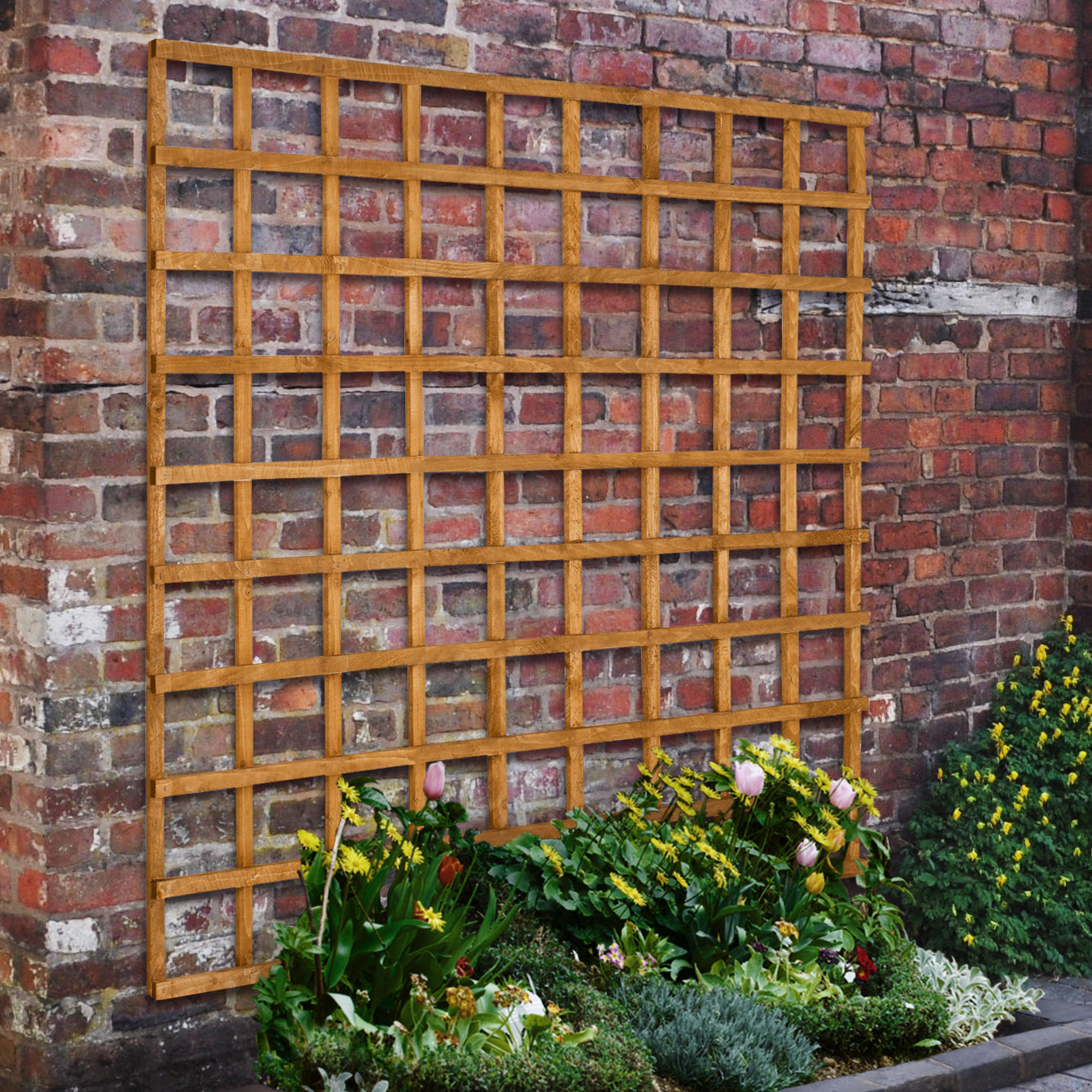 Forest Garden 183cm H Wood Lattice Panel Trellis | Wayfair.co.uk